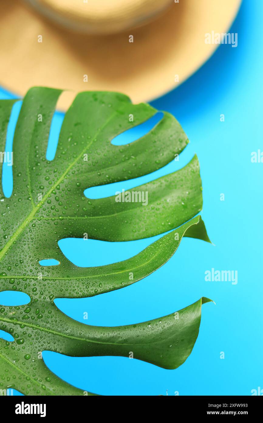 Monstera leaf and summer cap on a blue background. Summer background ...