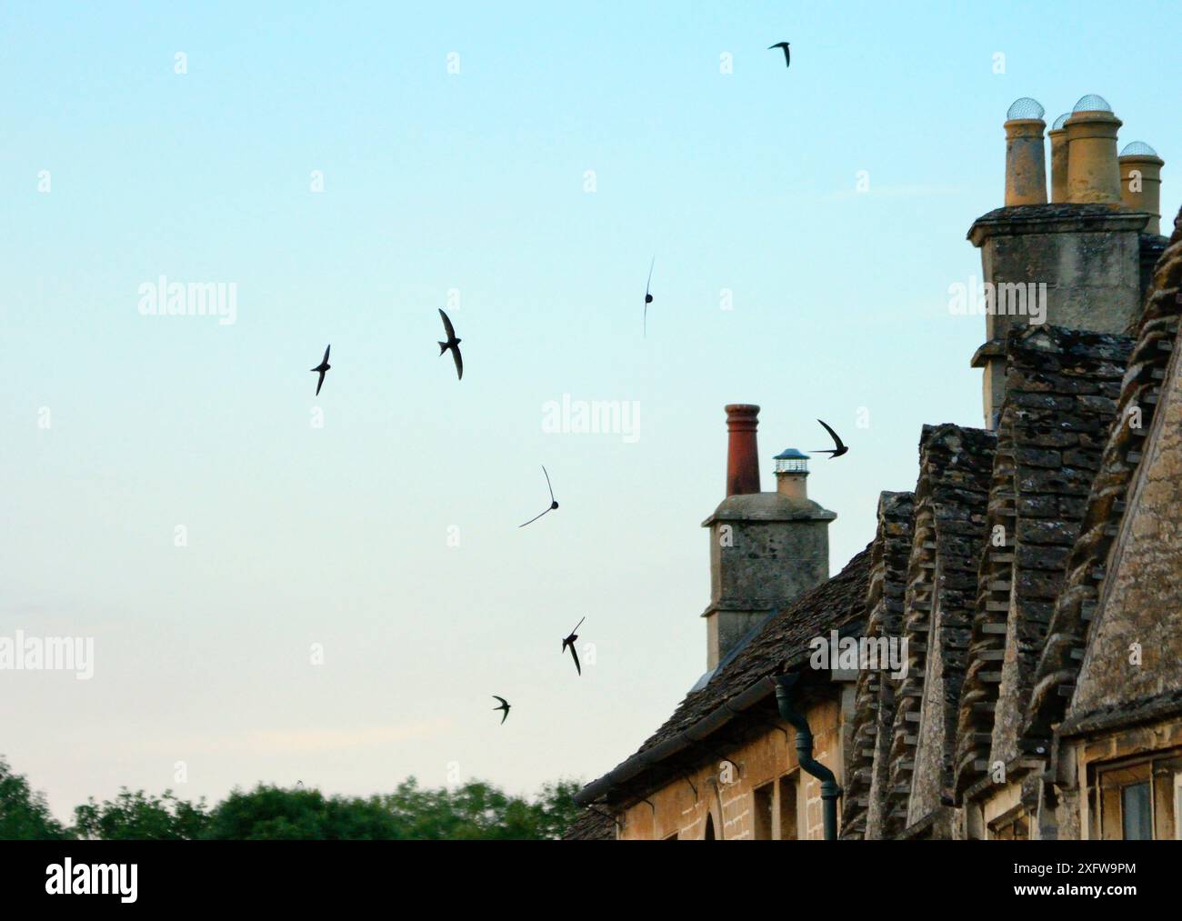 Flight over cottage village in hi-res stock photography and images - Alamy