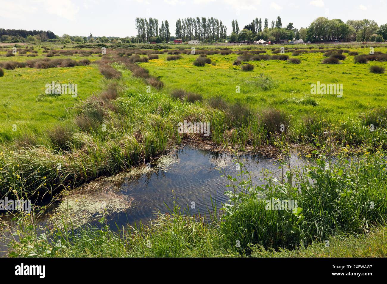 View fields from Hacklinge Marshes, Lydden Valley, looking towards ...