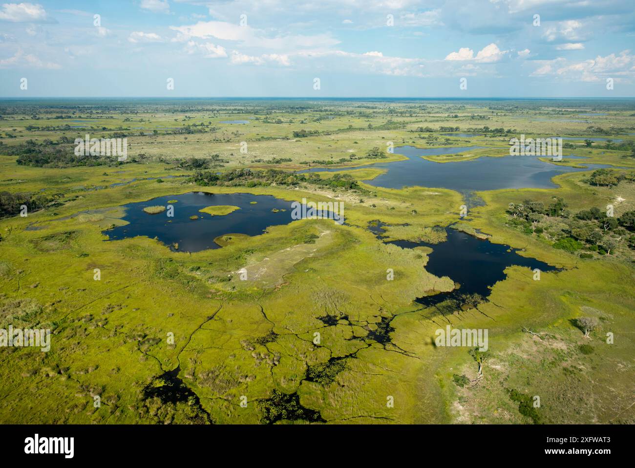 Aerial photograph of the Okavango Delta, UNESCO World Heritage Site ...