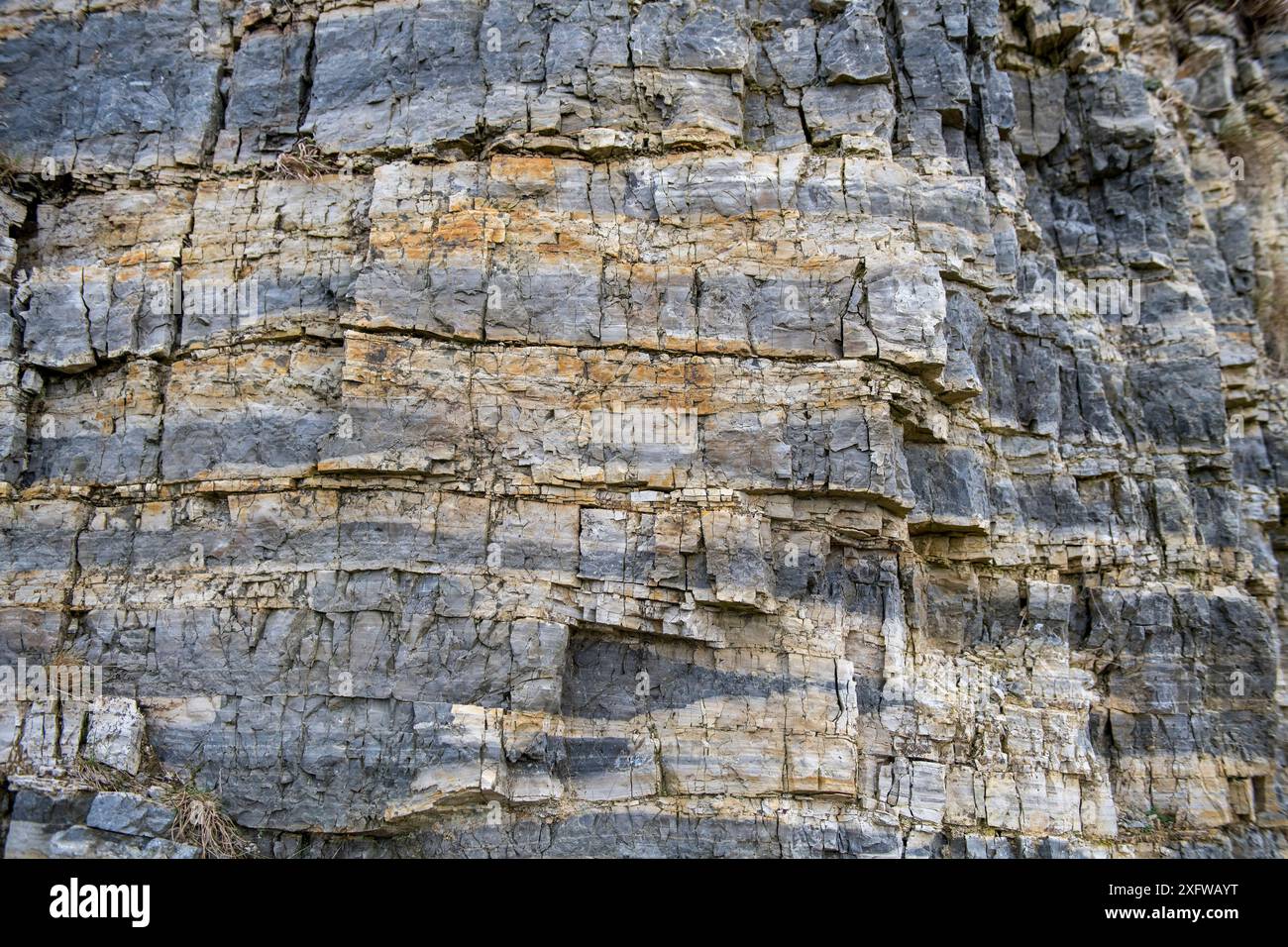 Outcrop of banded Chert, part of the Carboniferous, Pentre Chert ...