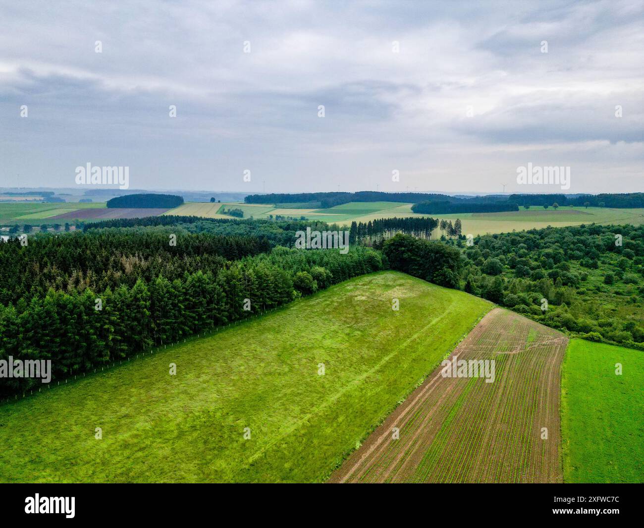 Enjoy a stunning aerial perspective of lush forests, green fields, and ...