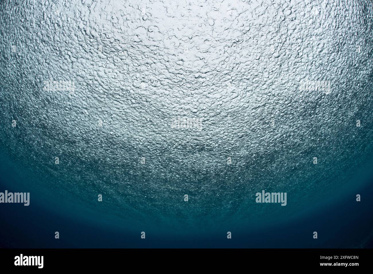 Rain falls on the surface of the ocean. Ambon, Maluku Archipelago ...