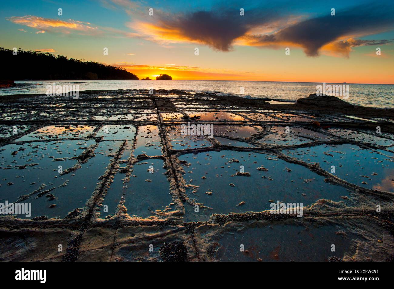 Tessellated pavement at sunset. Eagle Hawk Neck, Tasmania, Australia ...