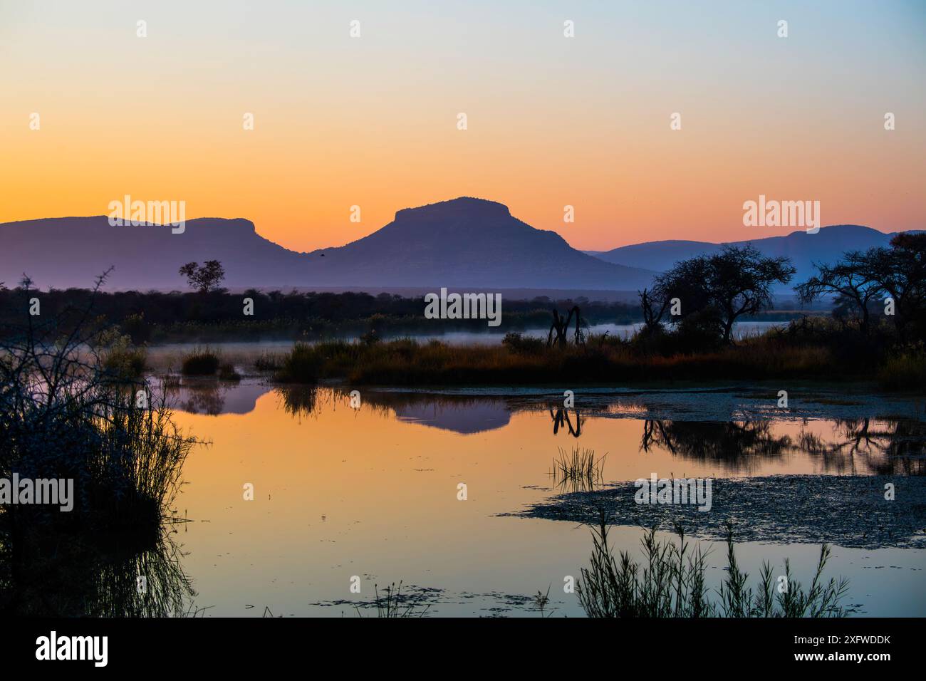 Africa safari animal sunset hi-res stock photography and images - Alamy