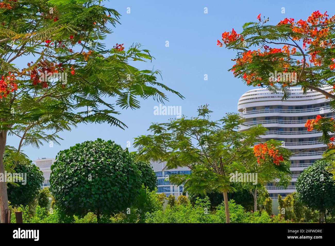 Wall of modern residential sustainable building in urban public park ...