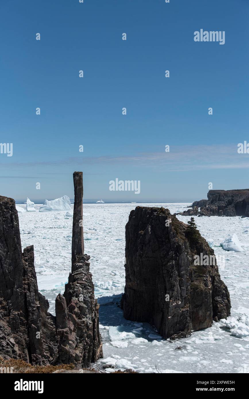Newfoundland and labrador hi-res stock photography and images - Alamy