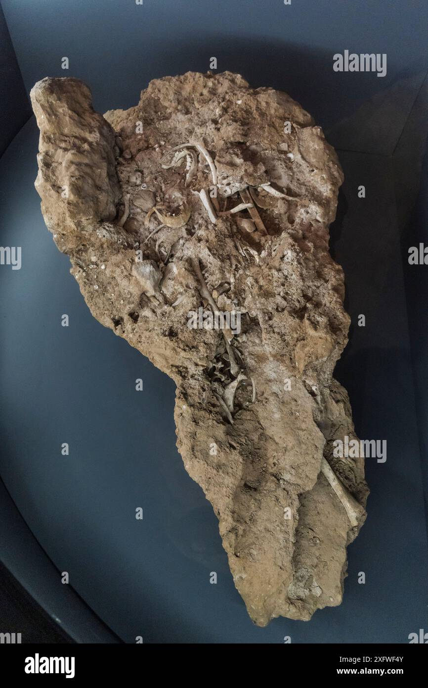 Collective tomb of Udías, Neolithic, Las Cascaras, Canales, Museum of ...