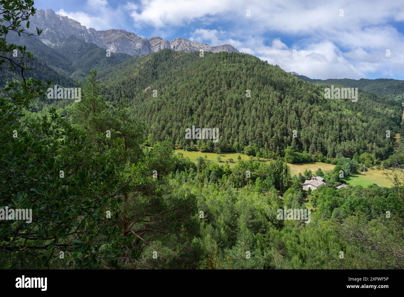 Cadi moixero national park hi-res stock photography and images - Alamy