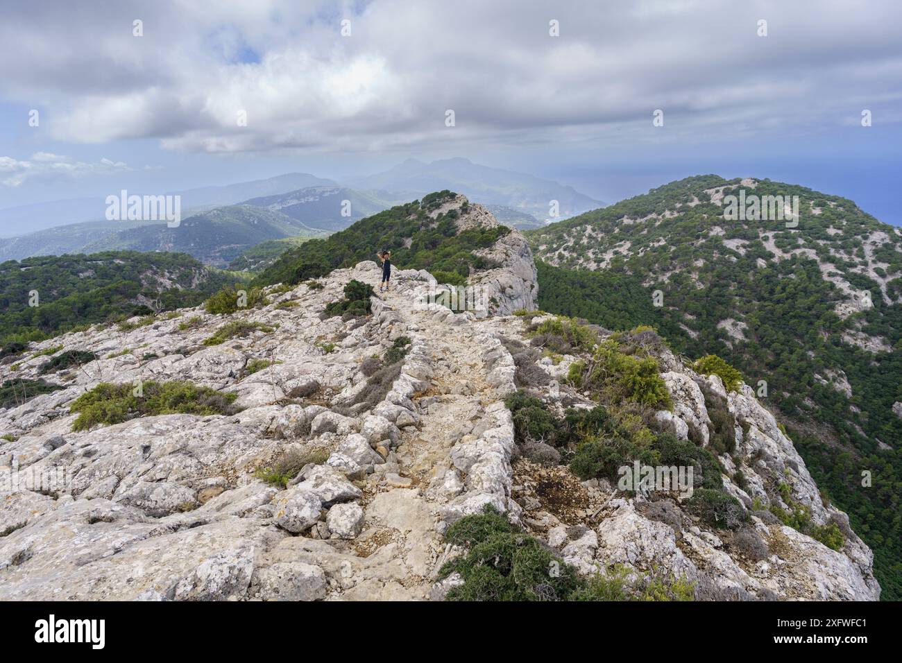 middle-aged woman walking Camí de s'Arxiduc route, Valldemossa, Majorca ...