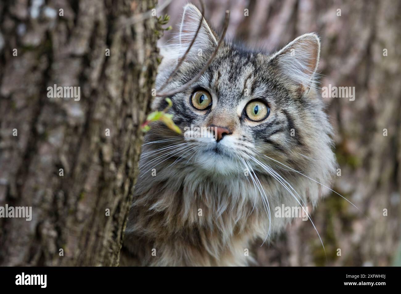 Germany april hi-res stock photography and images - Alamy