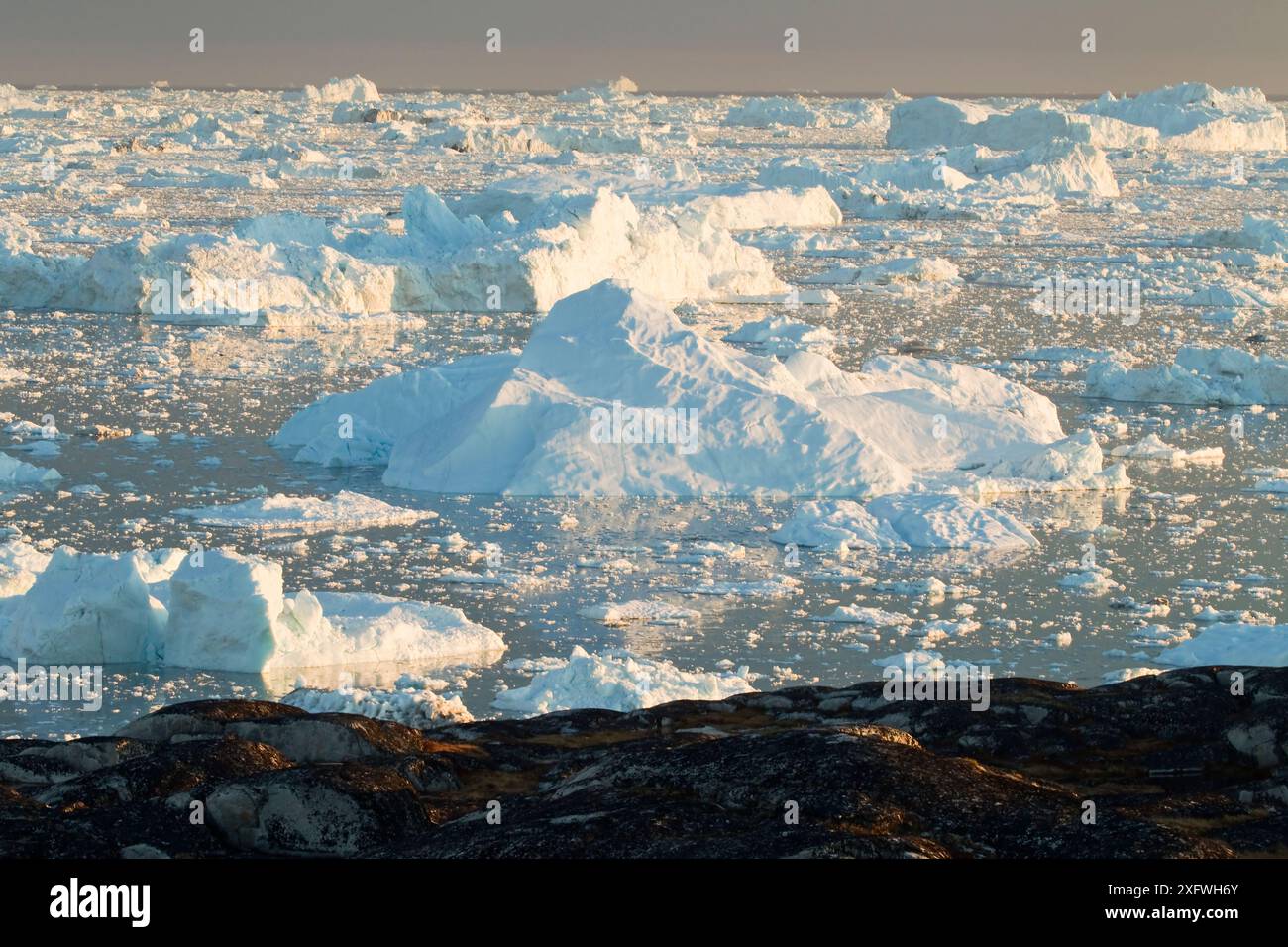 Disko Bay, icebergs, Greenland. June 2011 Stock Photo - Alamy