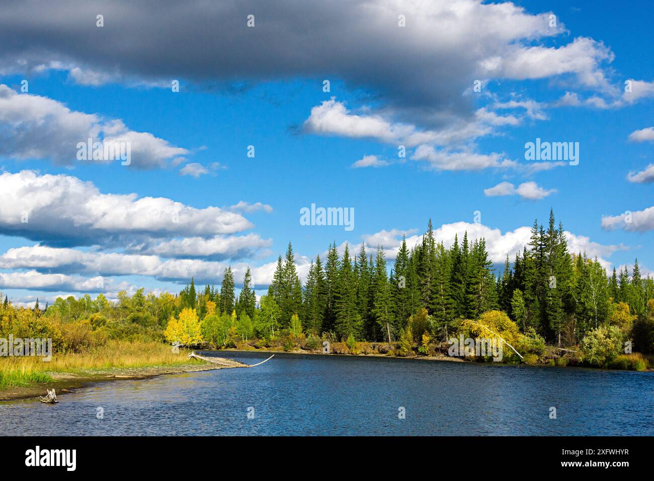 Landscape of the upper reaches of the Lena River, Baikalo-Lensky ...