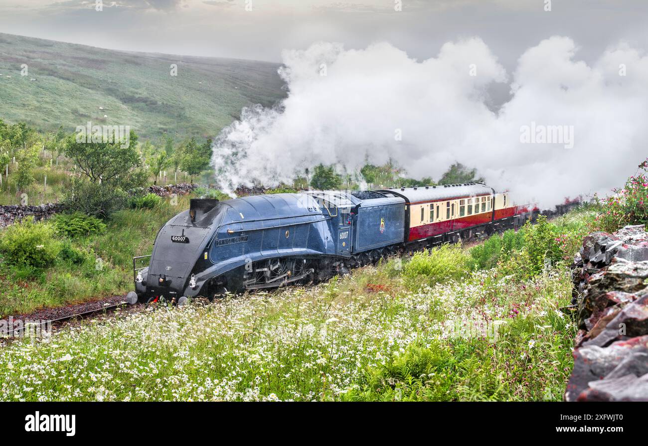 The image is of the BR, LNER A4 Pacific Class locomotive, 4-6-2, 60007, Sir Nigel Gresley steam ...