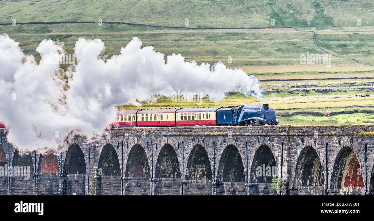 The image is of the BR, LNER A4 Pacific Class, 4-6-2, 60007, Sir Nigel ...