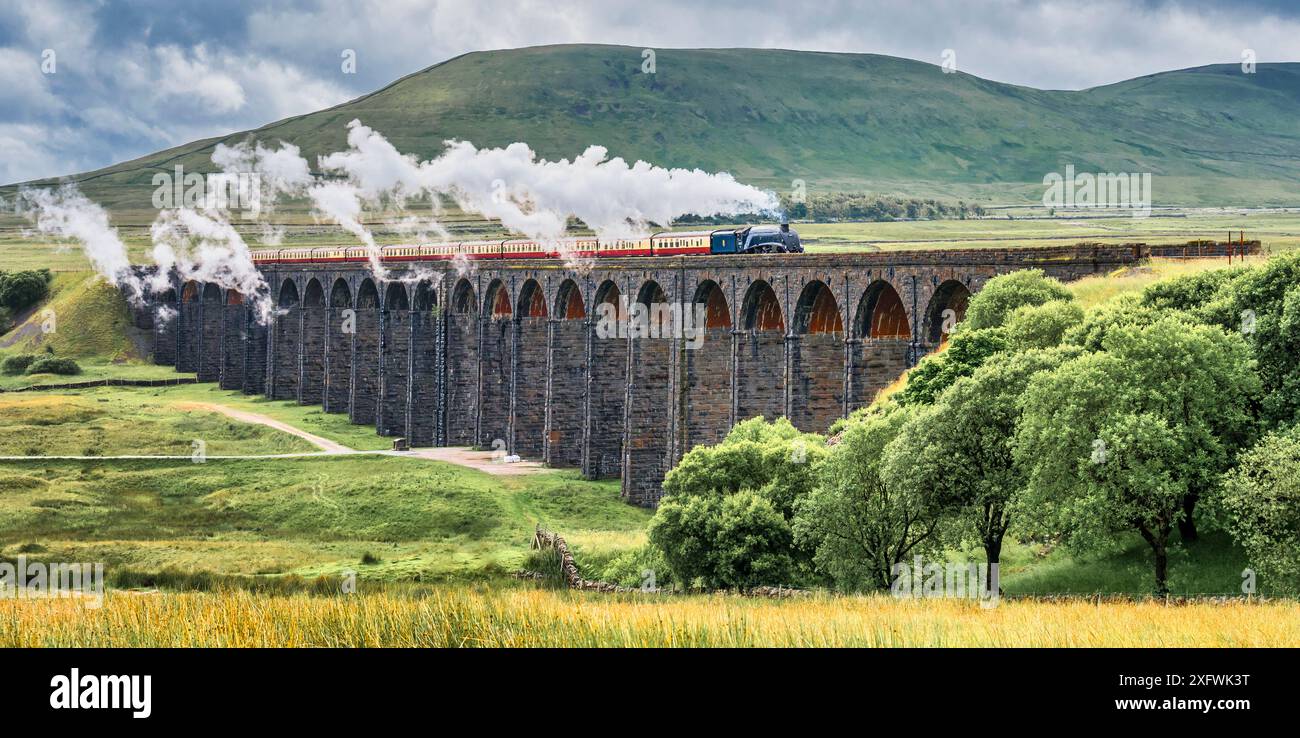 The image is of the BR, LNER A4 Pacific Class, 4-6-2, 60007, Sir Nigel ...