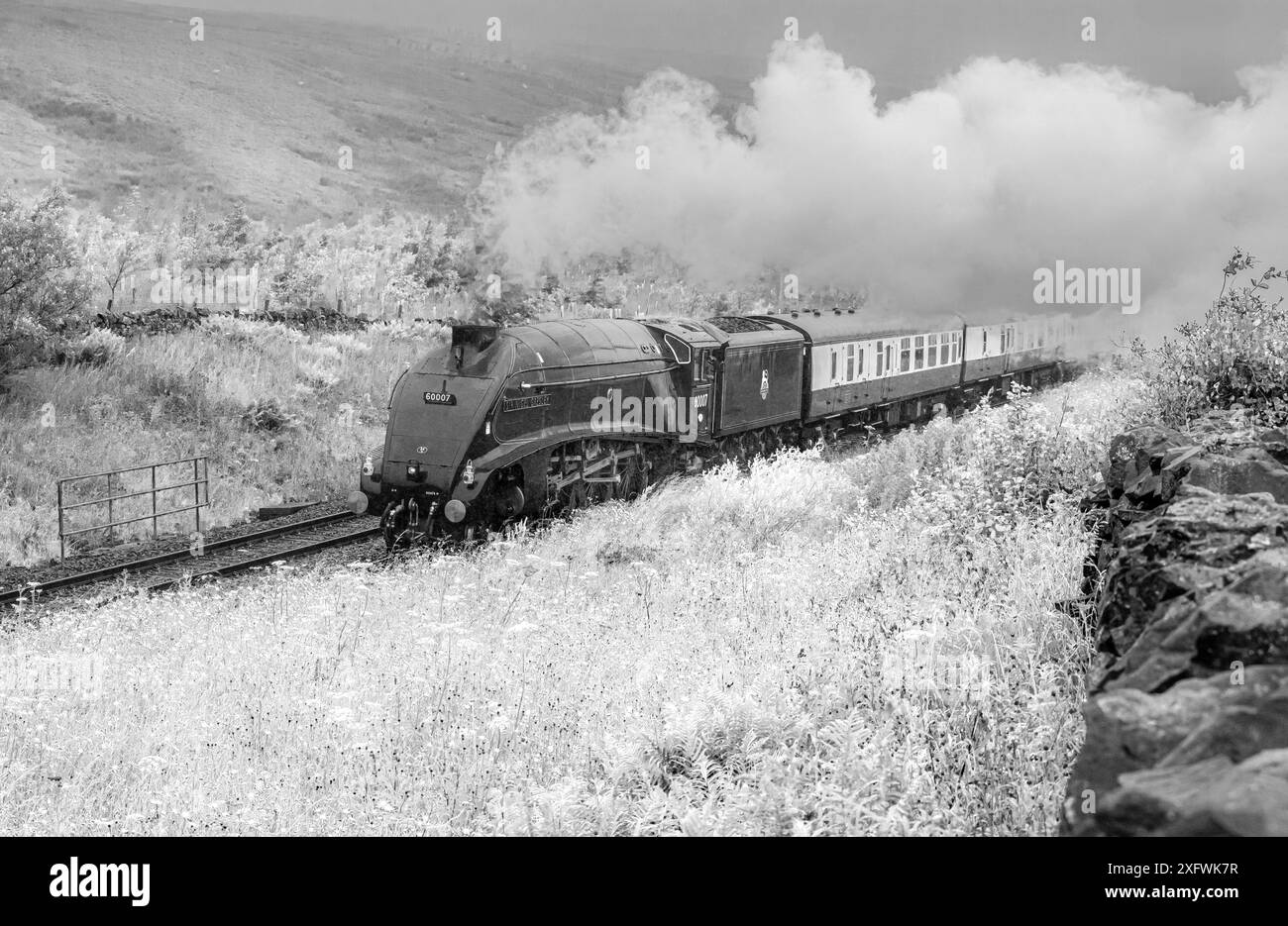 The image is of the BR, LNER A4 Pacific Class locomotive, 4-6-2, 60007 ...