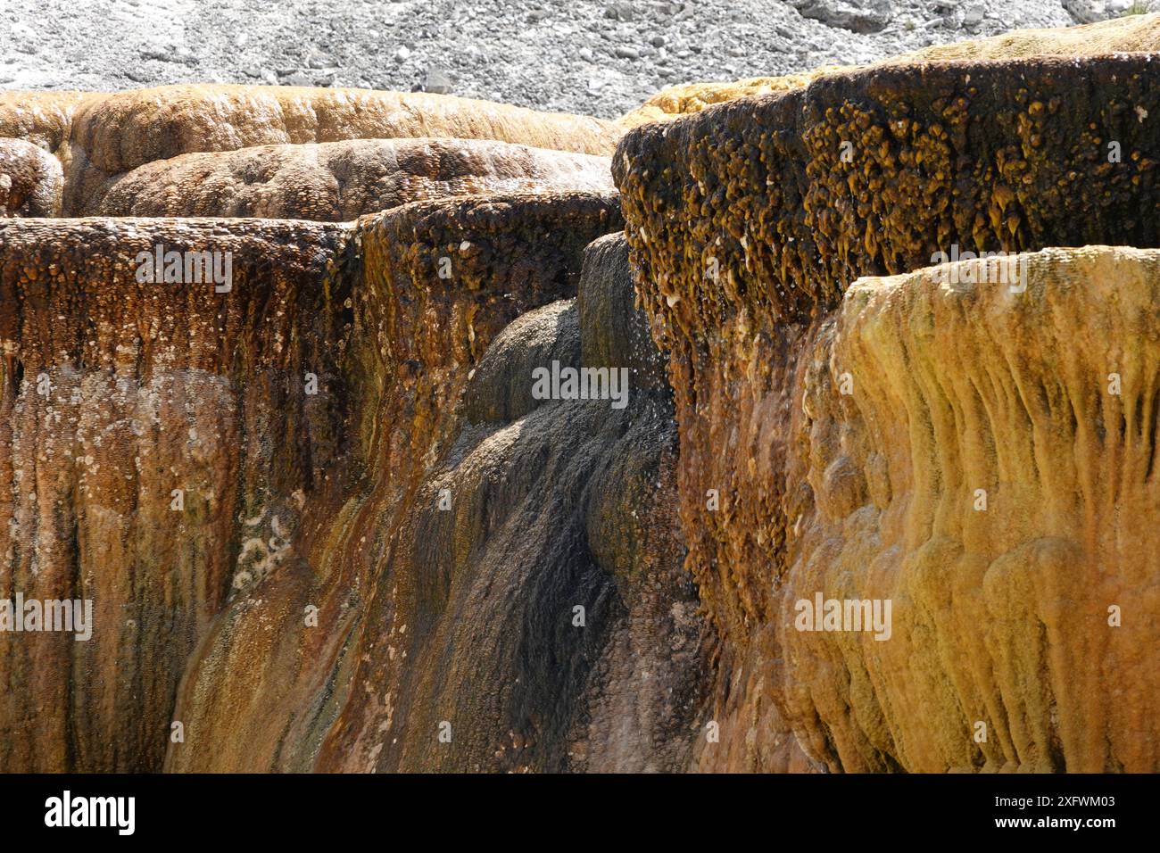 Mammoth Hot Spring Terrace Detail Stock Photo - Alamy