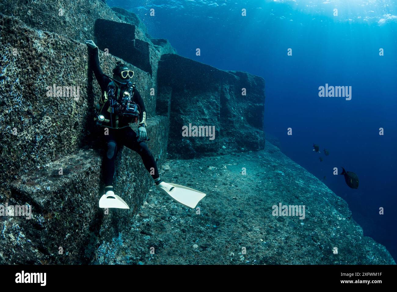 Yonaguni japan underwater hi-res stock photography and images - Alamy