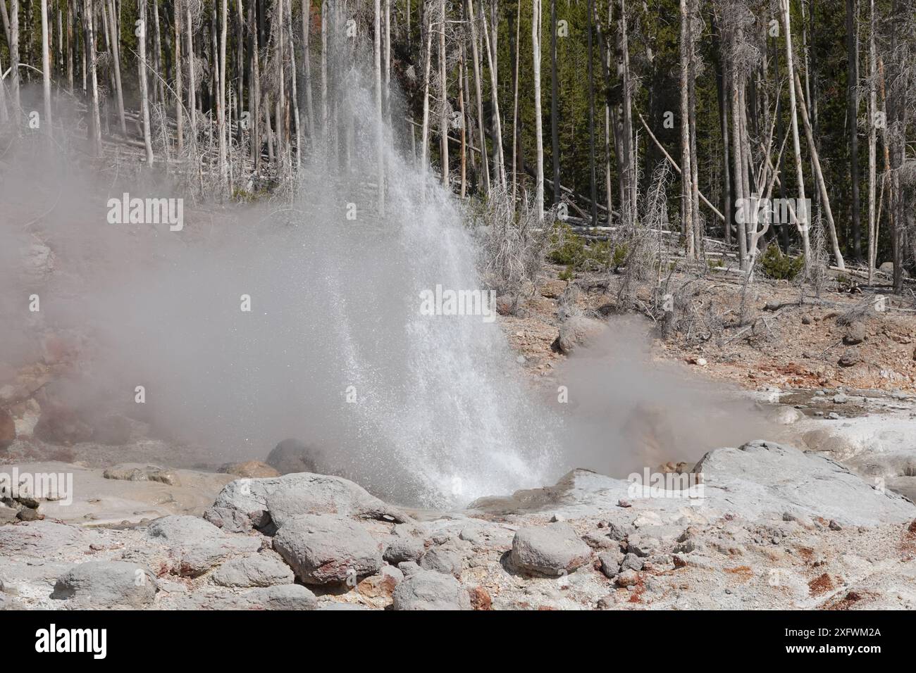 Steamboat geyser norris basin hi-res stock photography and images - Alamy