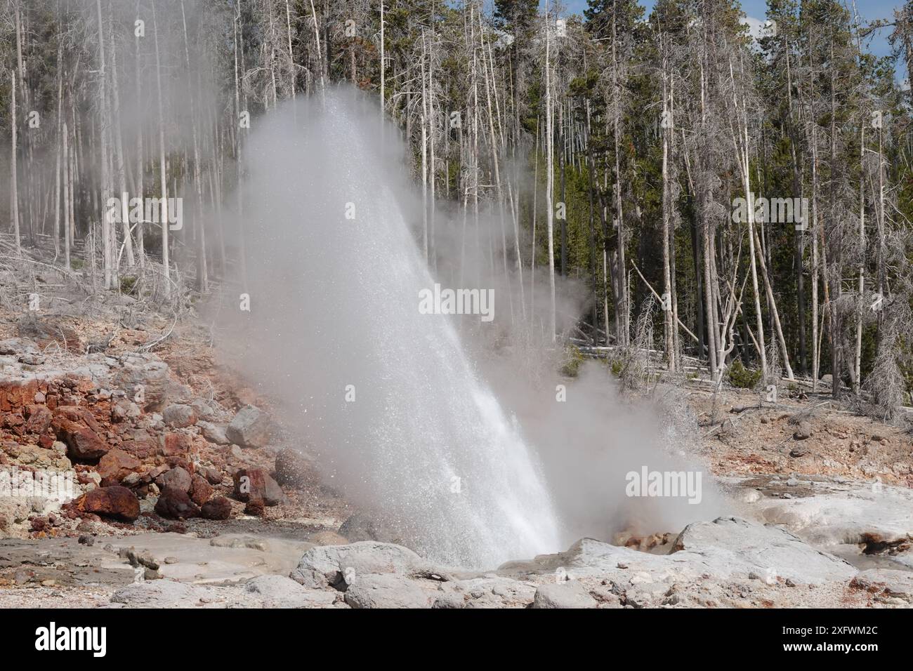 Steamboat geyser hot spring hi-res stock photography and images - Alamy