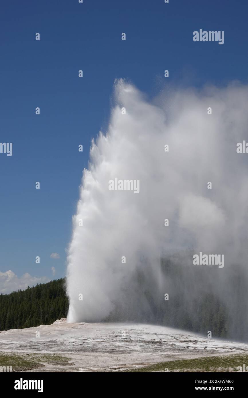 Portrait, Old Faithful Eruption Stock Photo - Alamy