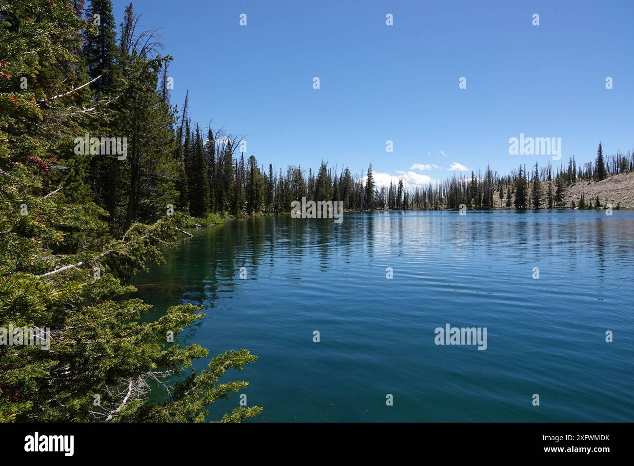 Baker track hi-res stock photography and images - Alamy