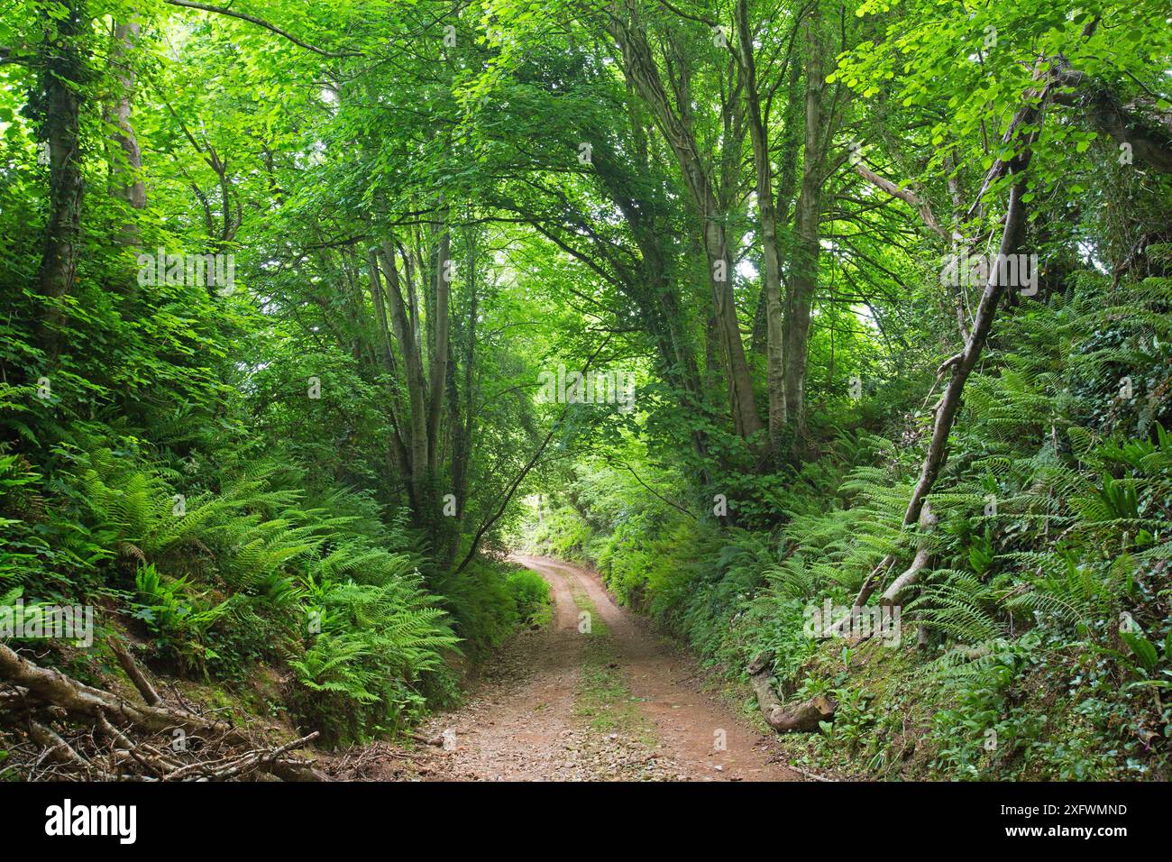 Holloway path uk hi-res stock photography and images - Alamy