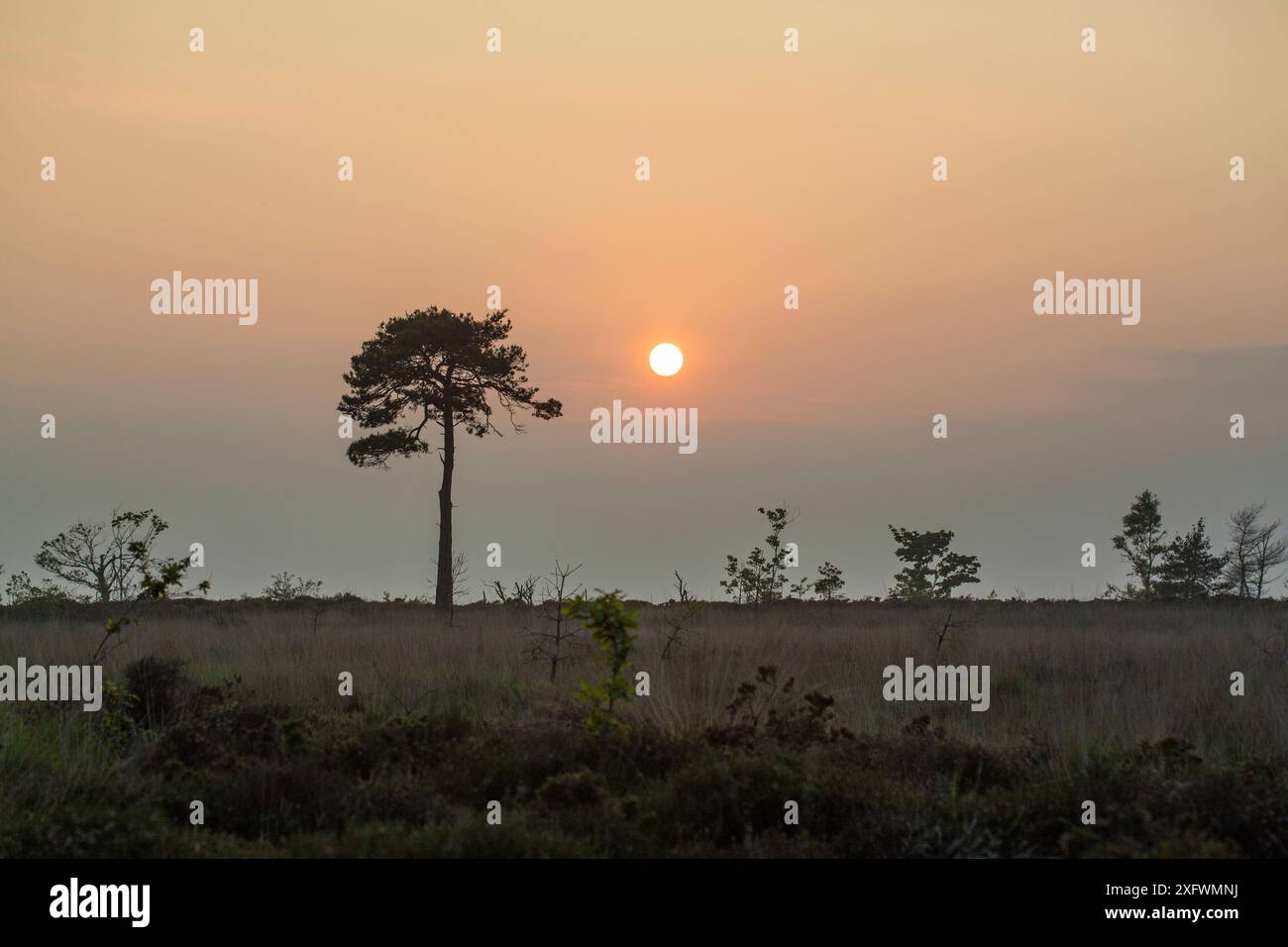 Mutters moor hi-res stock photography and images - Alamy