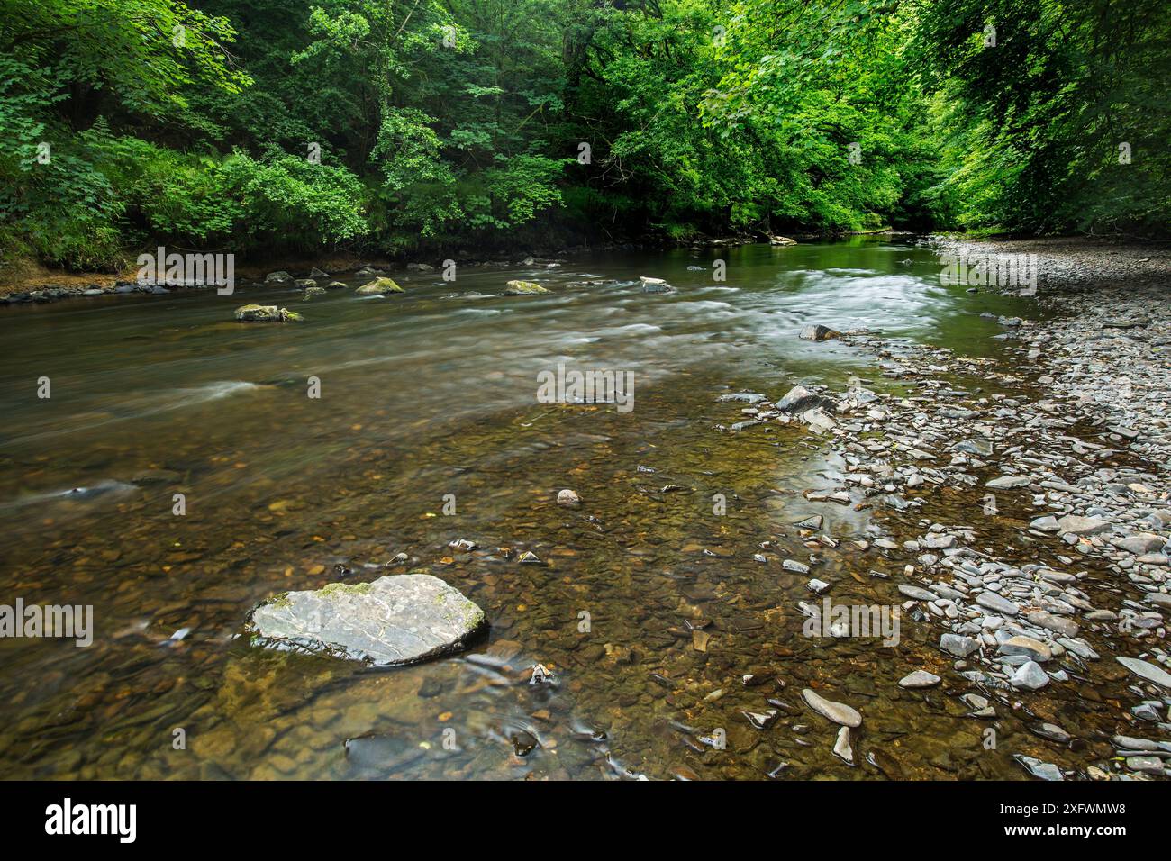 Low summer flow in the River Torridge, North Devon, UK, July 2016 Stock ...