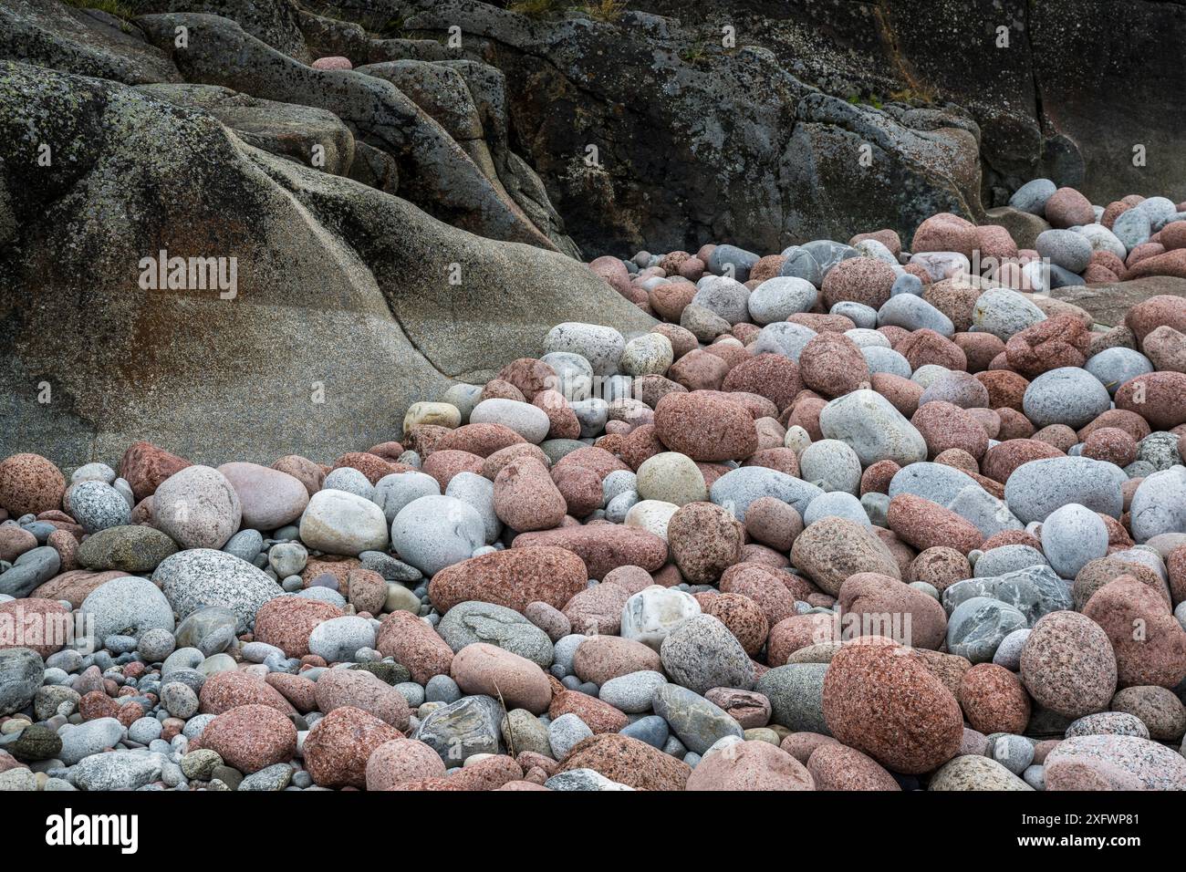 Collection of pebbles near rocks at beach Stock Photo - Alamy