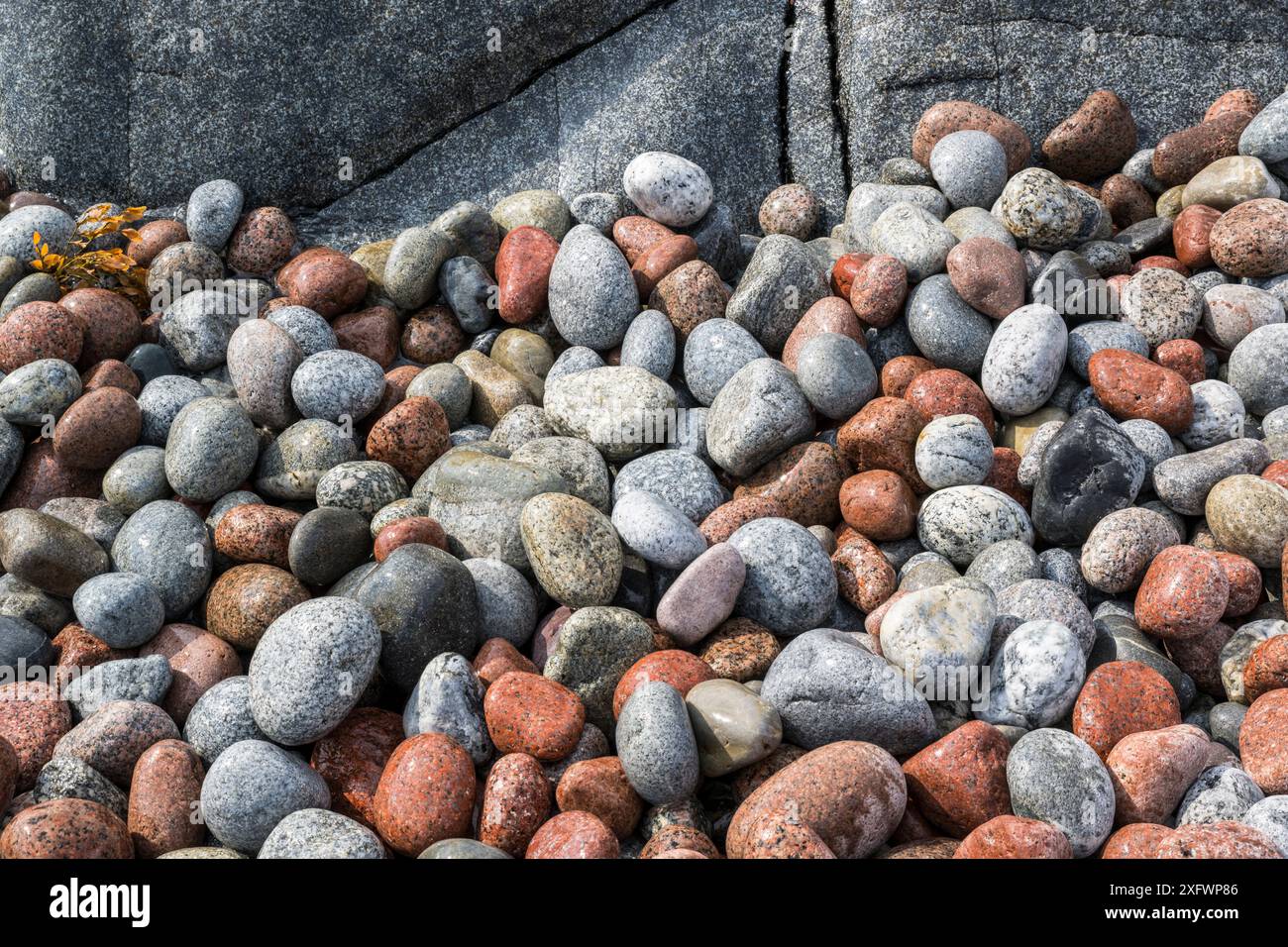 Collection of colorful beach pebbles Stock Photo - Alamy