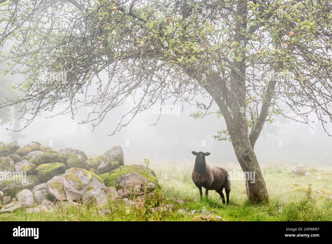Landscape object on field near hi-res stock photography and images - Alamy