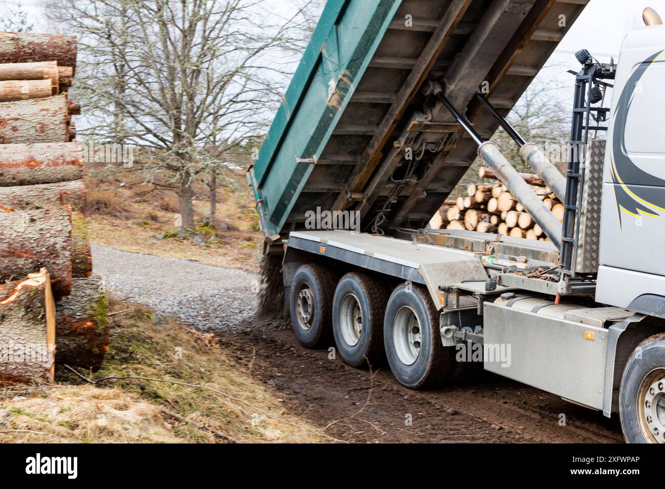 Truck dumping cement on road at lumberyard Stock Photo - Alamy