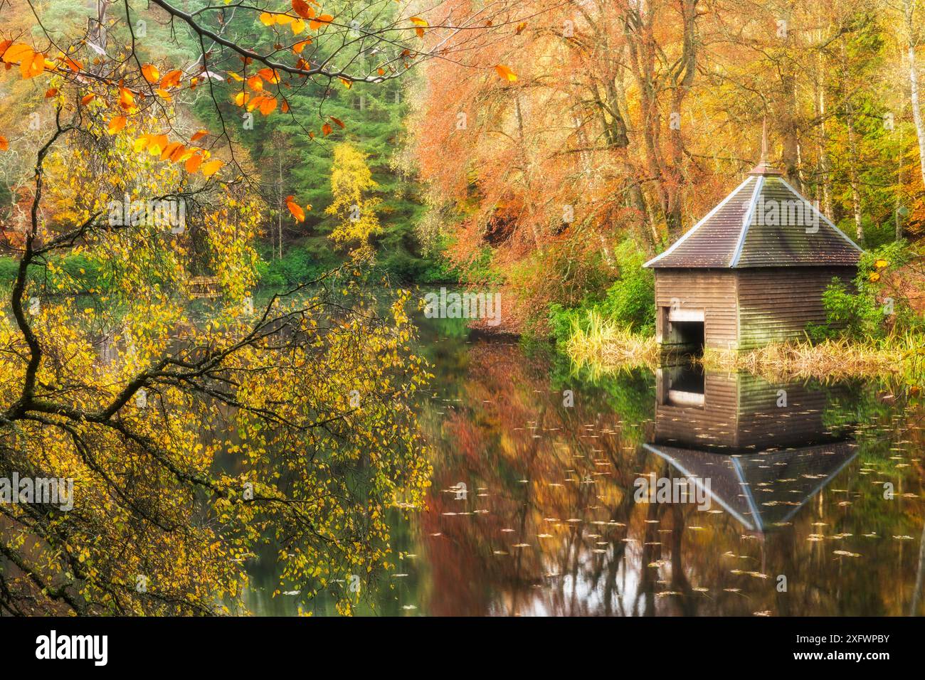 Scotland woodland huts hi-res stock photography and images - Alamy