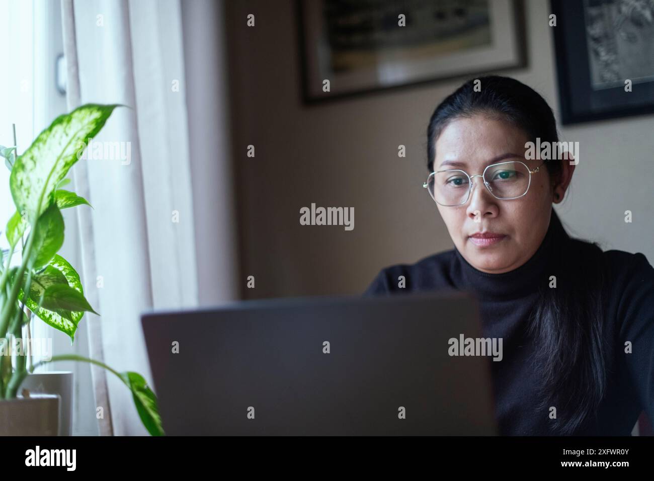 Focused laptop user hi-res stock photography and images - Alamy