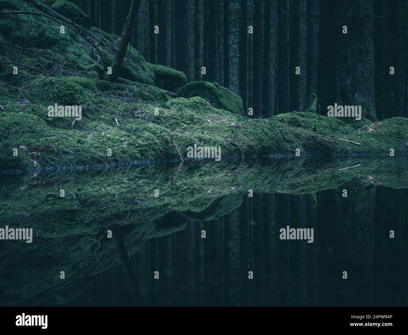 Calm lake near mossy hi-res stock photography and images - Alamy