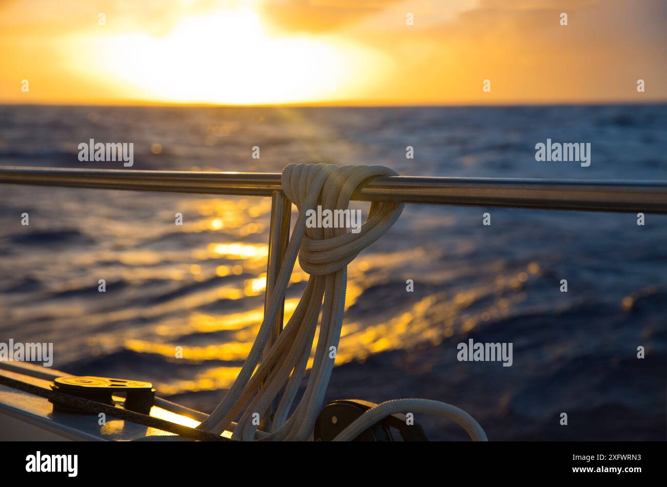 Tied to railing hi-res stock photography and images - Alamy