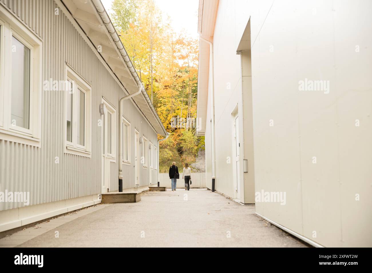 Rear view of friends walking through passageway at school building ...
