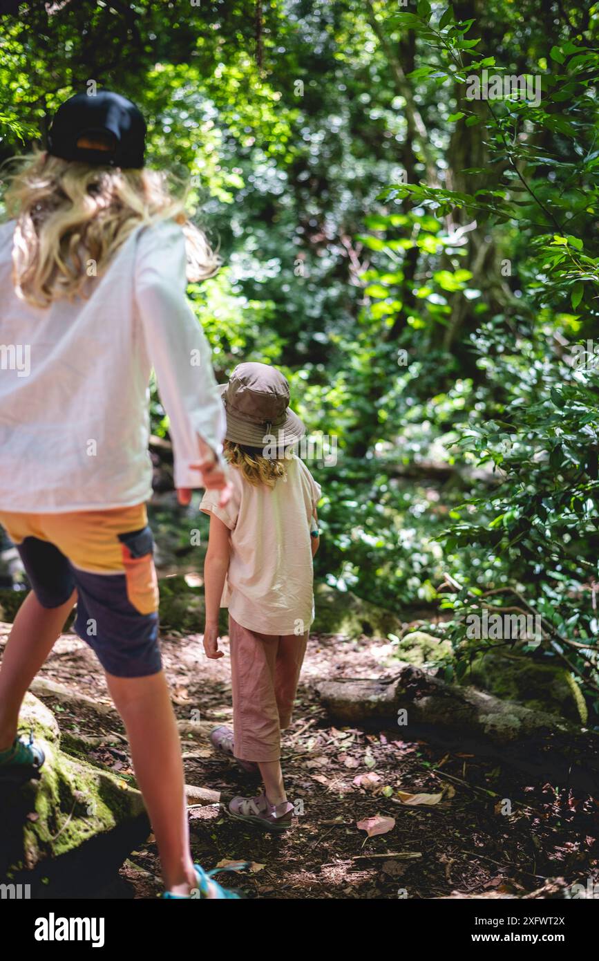 Rear view of sisters walking in forest Stock Photo - Alamy