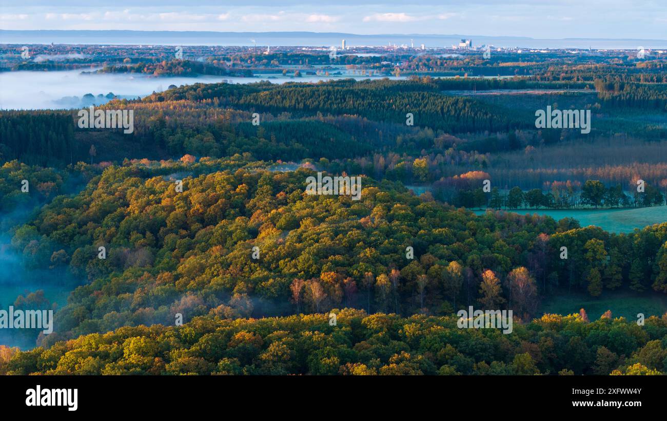 Overhead elevated view forest hi-res stock photography and images - Alamy