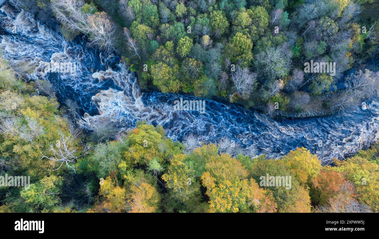 Overhead view river flowing trees hi-res stock photography and images ...