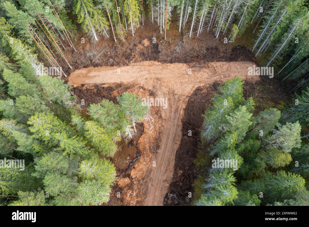 Aerial photography forest area road hi-res stock photography and images ...