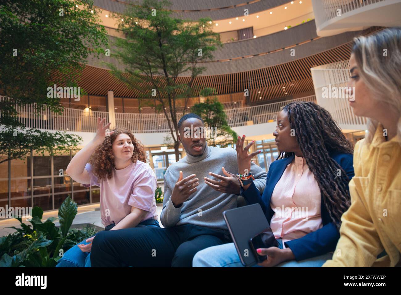 Young business lady discussing work hi-res stock photography and images ...