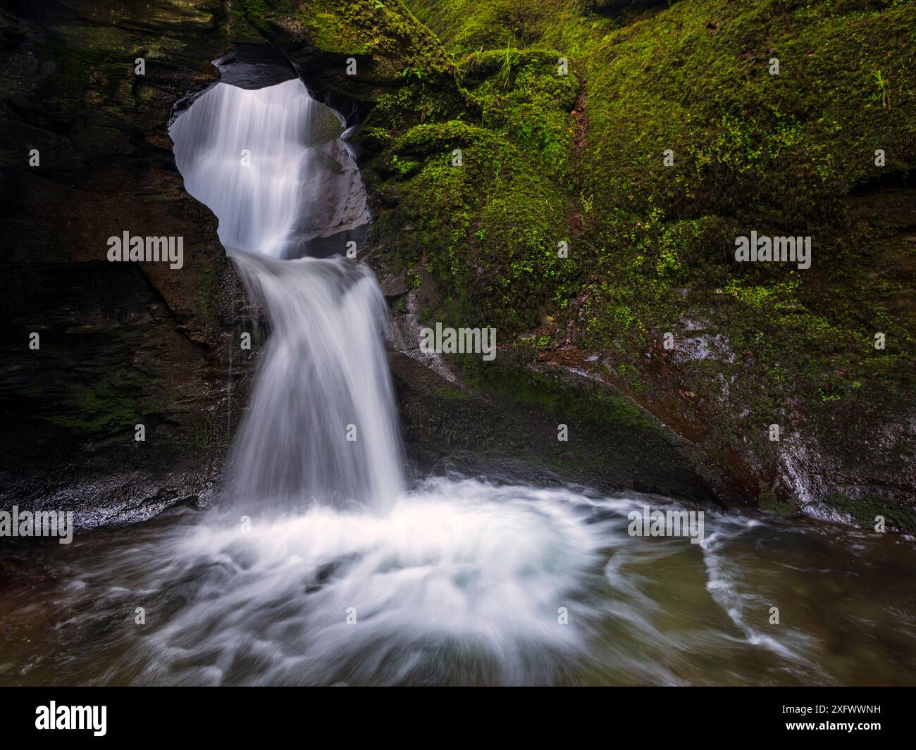 Merlins well hi-res stock photography and images - Alamy