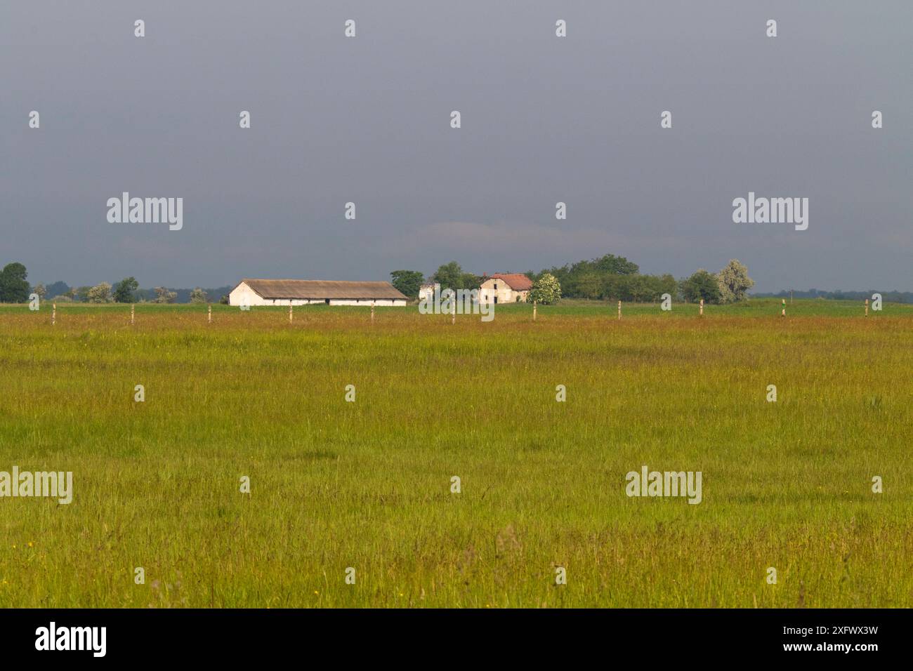 Farm buildings on puszta grassland near Tiszaalpar, Kiskunsag National ...