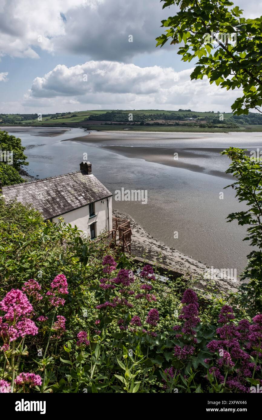 Laugharne, Wales, castle landscape, Dylan Thomas Stock Photo - Alamy