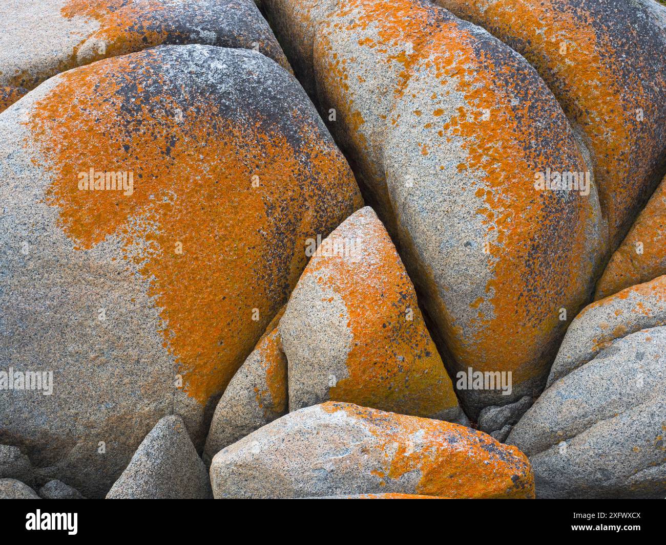 Close up of boulder at hazards beach in Freycinet National Park ...