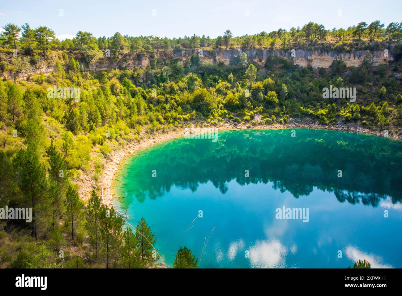 Laguna del Tejo. Lagunas de Cañada del Hoyo Nature Reserve, Cuenca ...