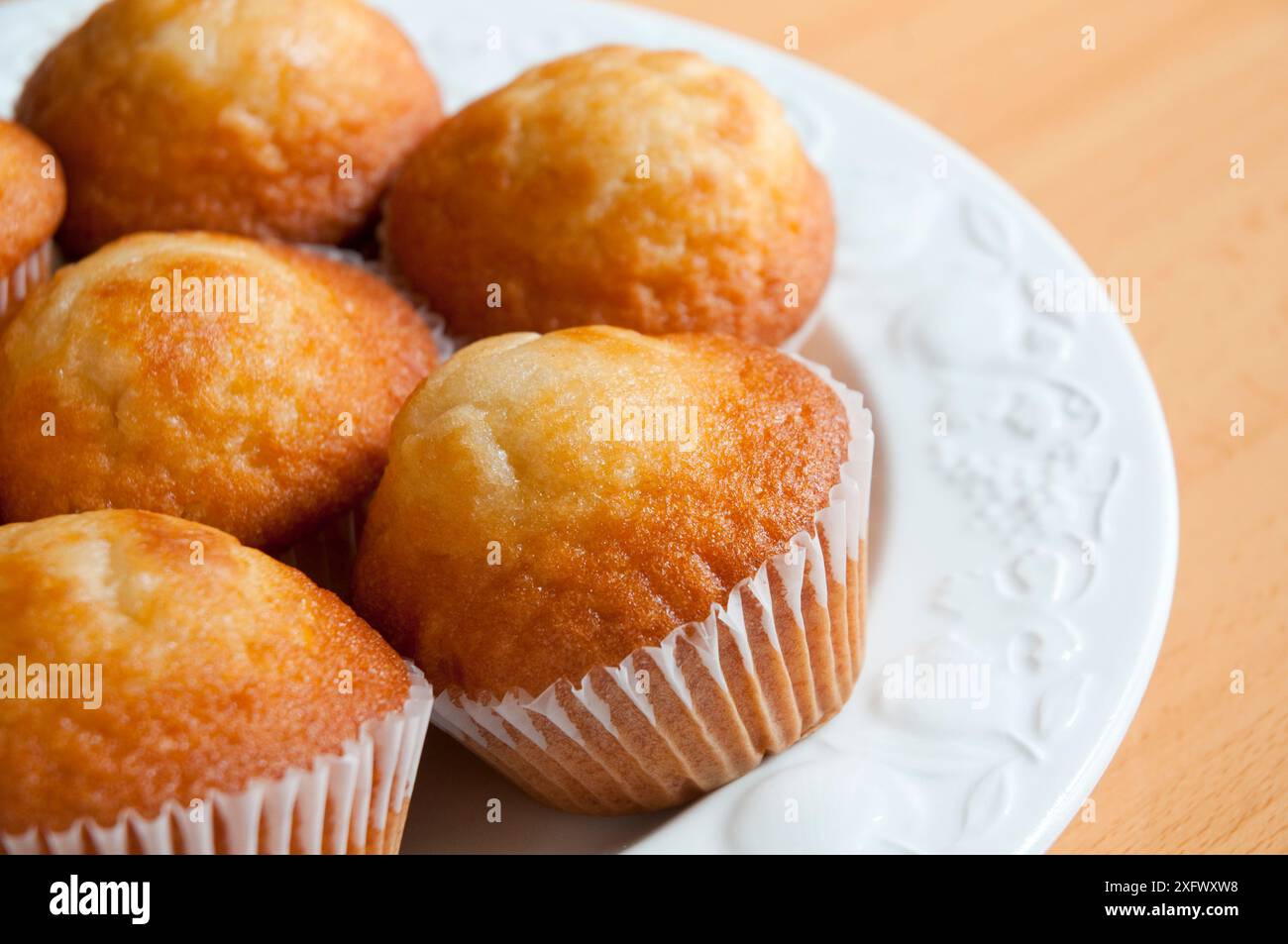Small sponge hi-res stock photography and images - Alamy